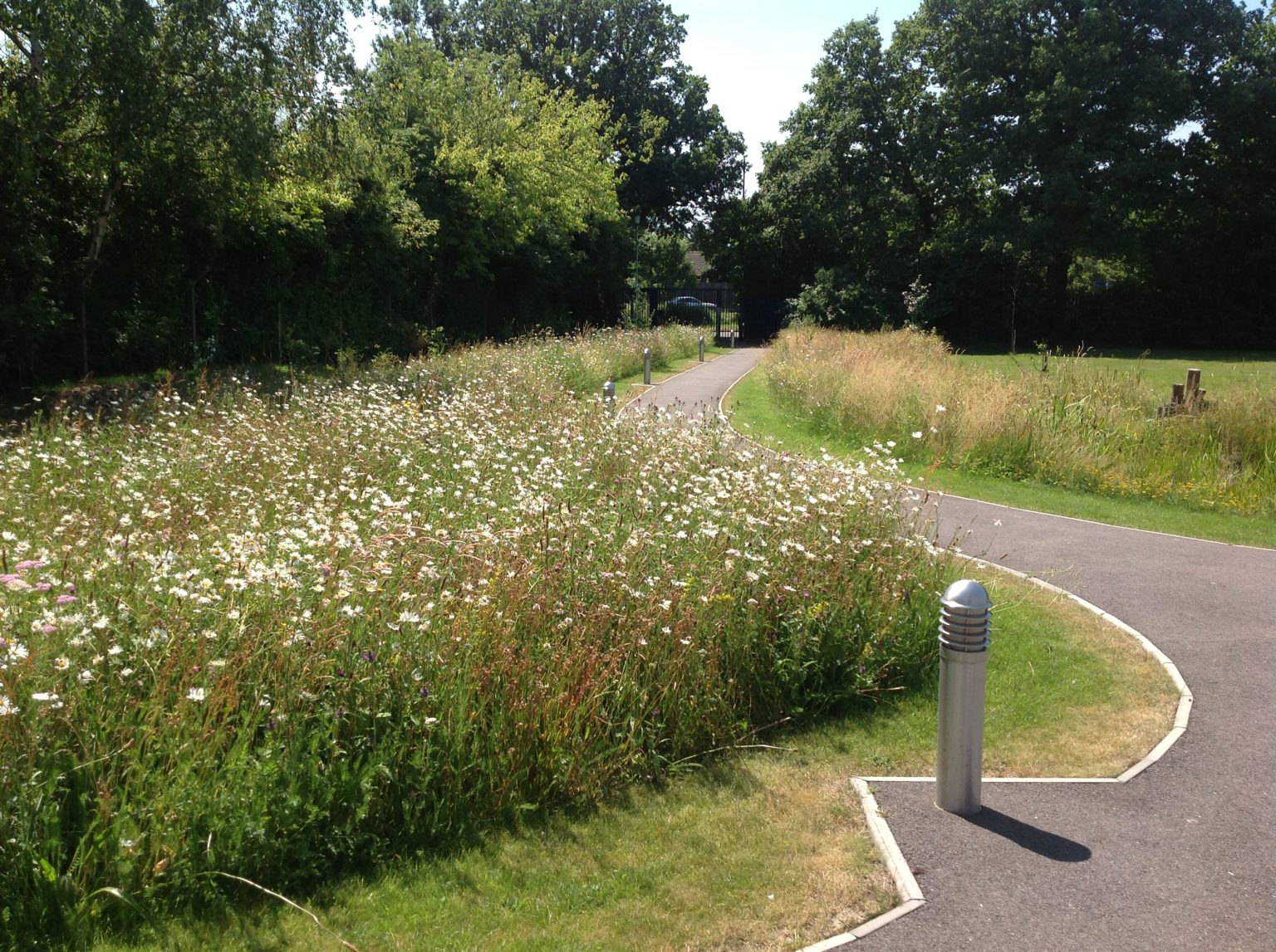 Biodiversity Net Gain (BNG) | Darwin Ecology