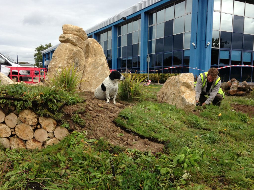 Designs for biodiversity | Darwin Ecology