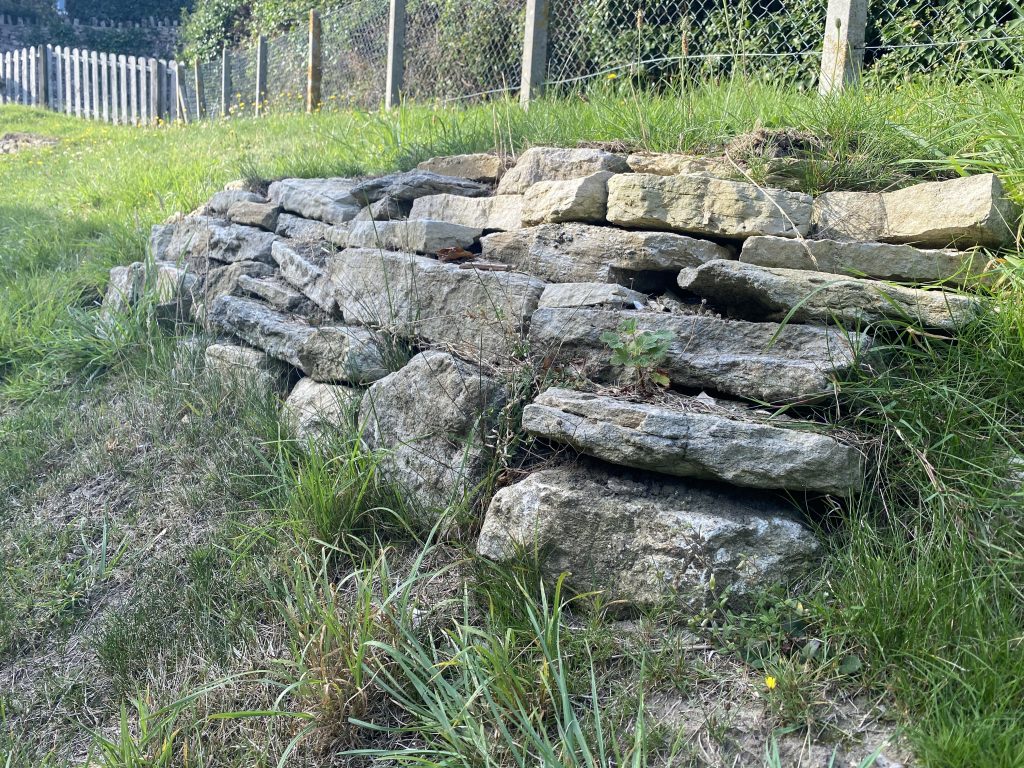 Bespoke habitat features | Darwin Ecology