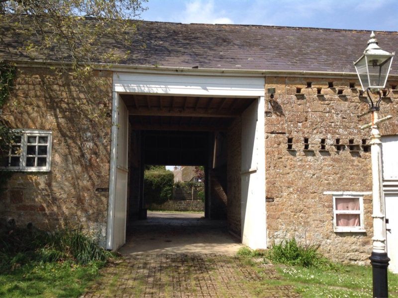 Lesser horseshoe bat roost mitigation – Dorset | Darwin Ecology